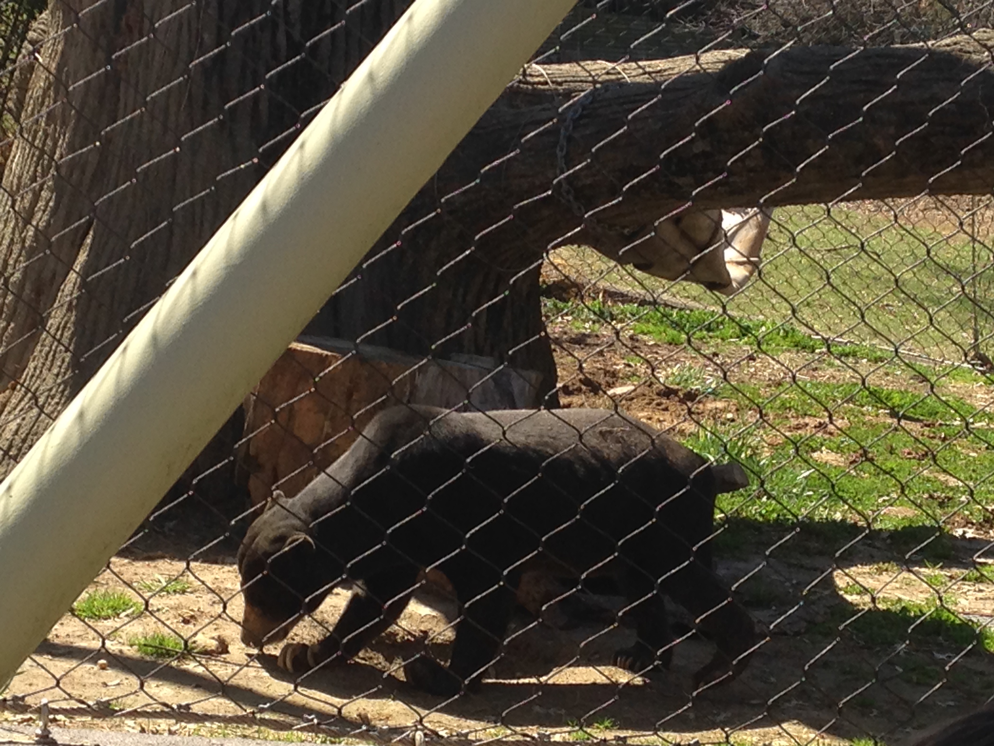 Mesker Park Zoo Review - Zoo With Us