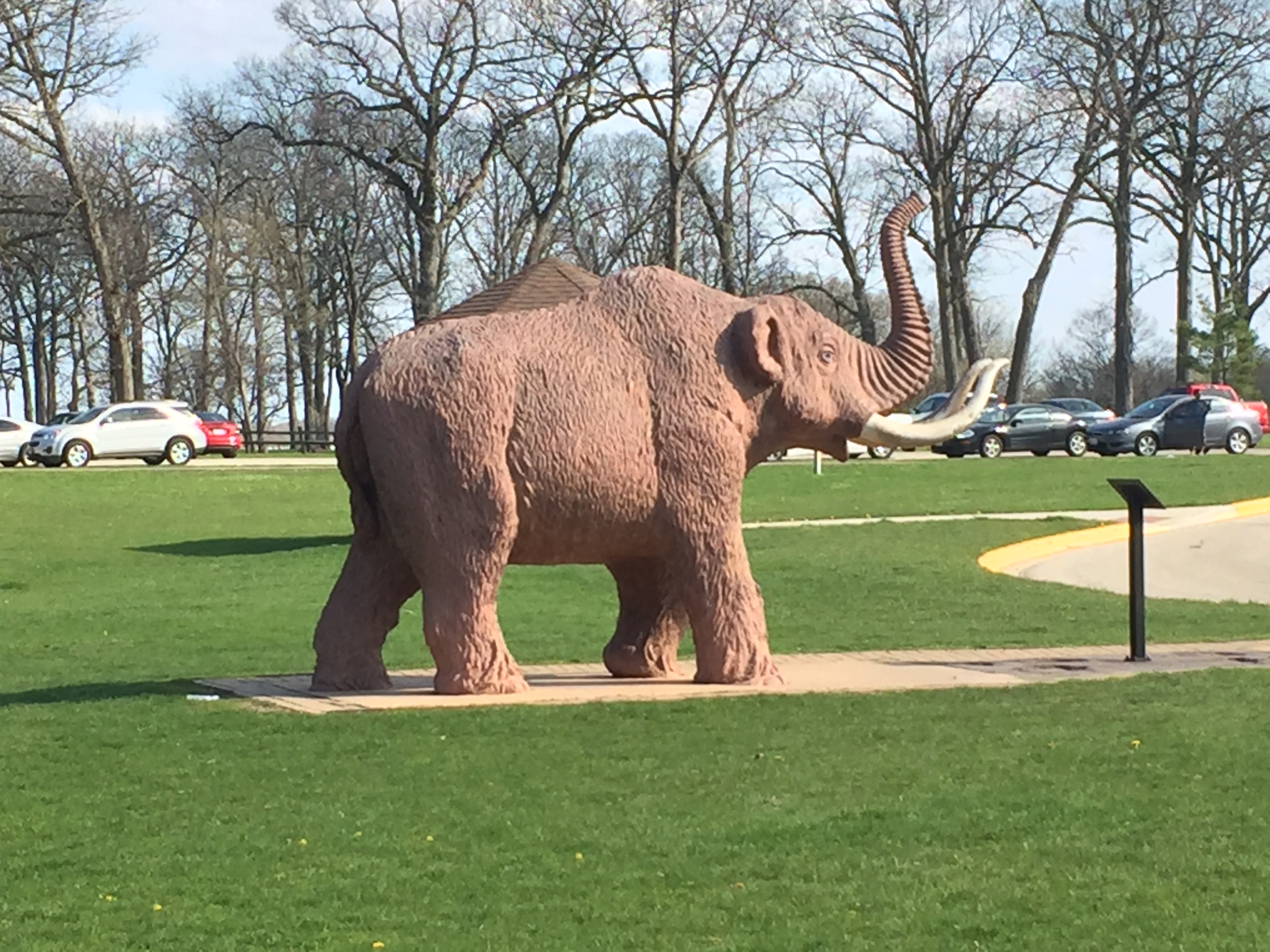 Phillips Park Zoo Photos – Zoo With Us