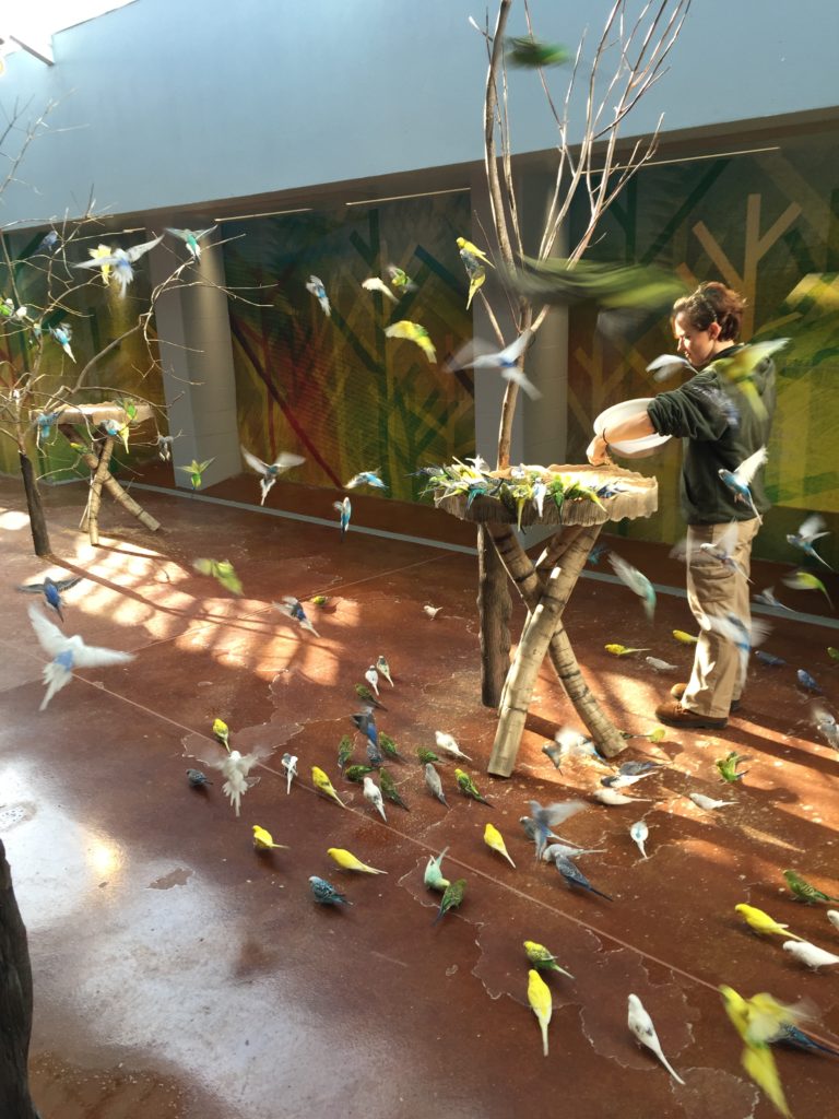 For the Birds... - Zoo With Us