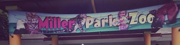 Miller Park Zoo - Zoo With Us