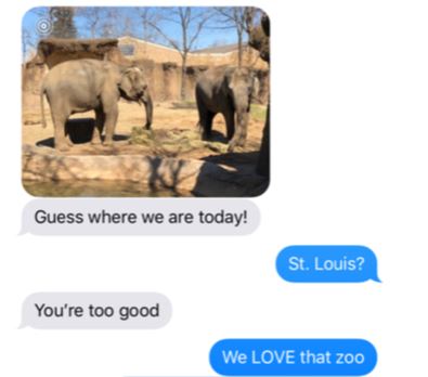 Zoo Identification Challenge - Zoo With Us