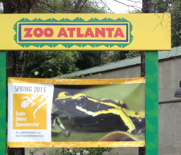 Atlanta Zoo - Zoo With Us